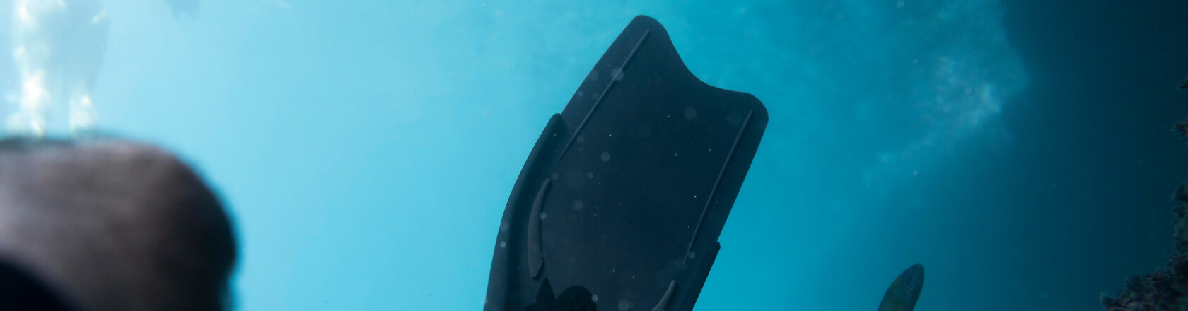 SEA-EU Marine Modules Foster Interdisciplinary Collaboration